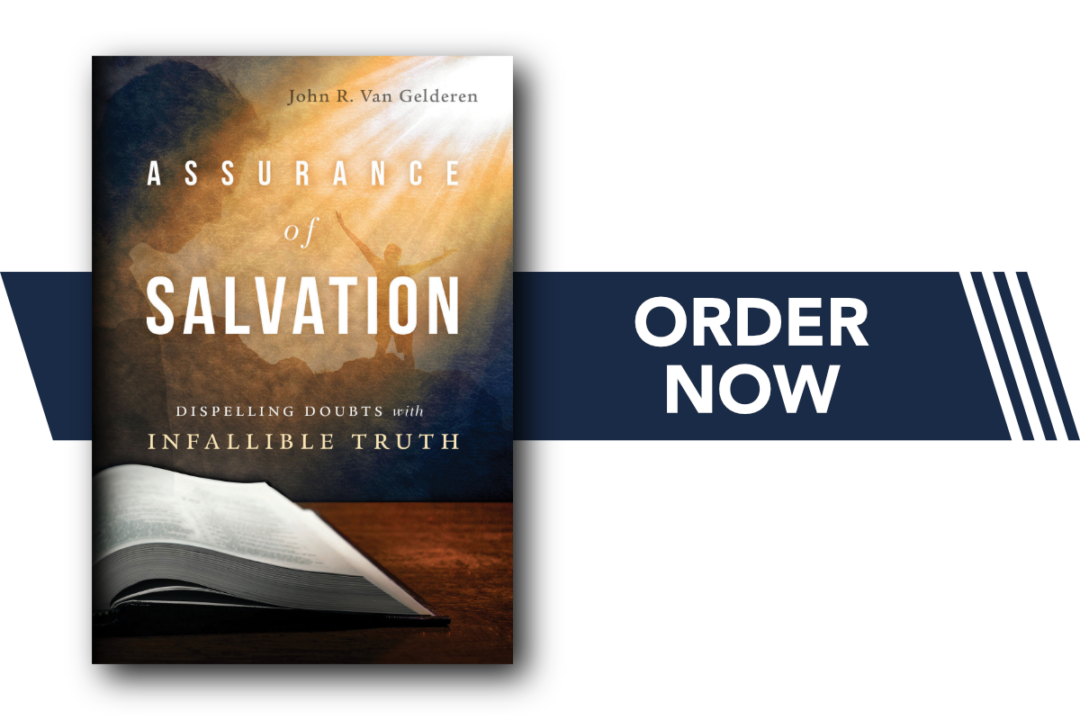 Revival Focus - Revival Focus